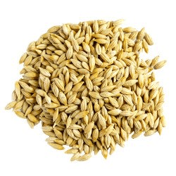 Receitas com Cevada Integral em Flocos - 0 receitas - Cuizeat